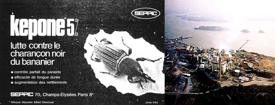 Chlordécone, le Tchernobyl antillais