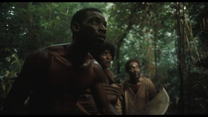 De l'esclavage à la liberté : un voyage émotionnel au cœur de 'Ni ...