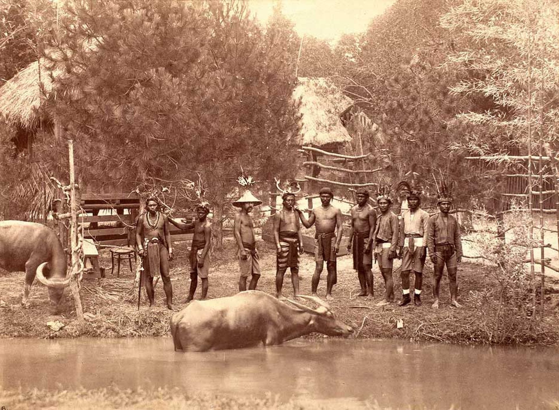 Human Zoos: Anatomy of colonial dehumanization